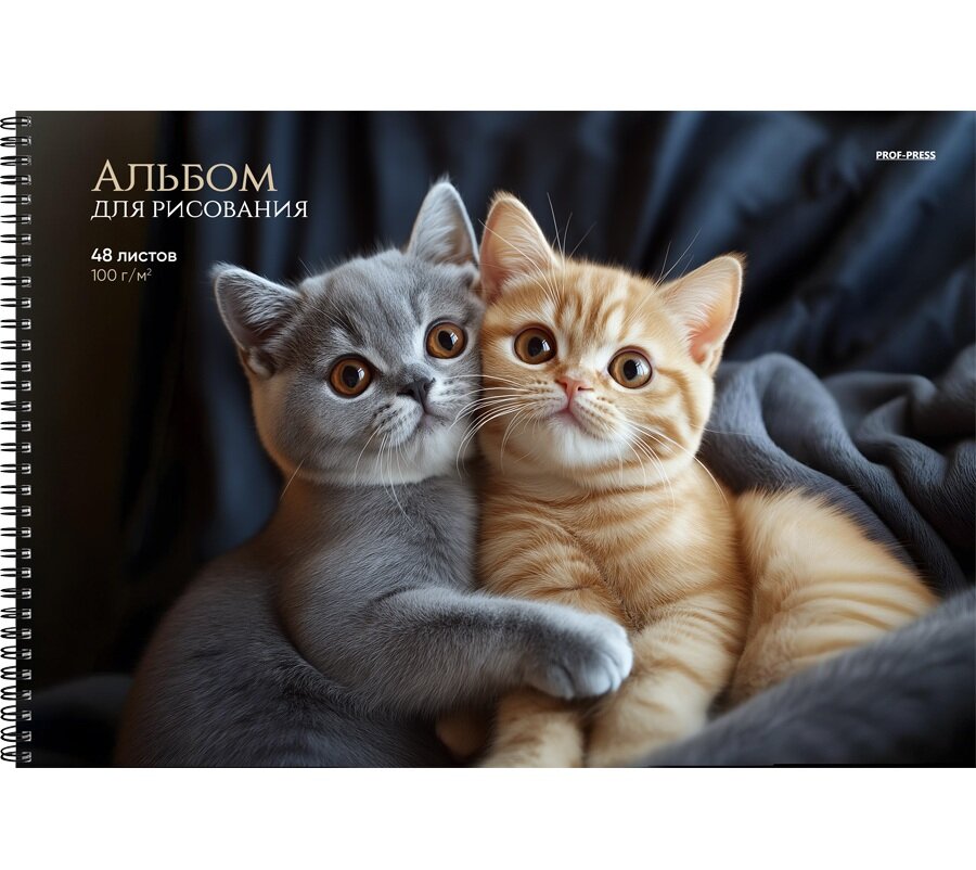 Альбом для рисования Проф-пресс 48 листов, спираль, "Объятия котят" (А48-8300)