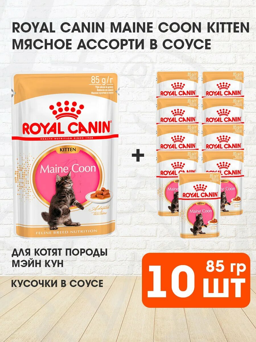 Корм влажный Royal Canin Maine Coon Kitten для котят мэйн кун в соусе пауч, 85 г х 10 шт