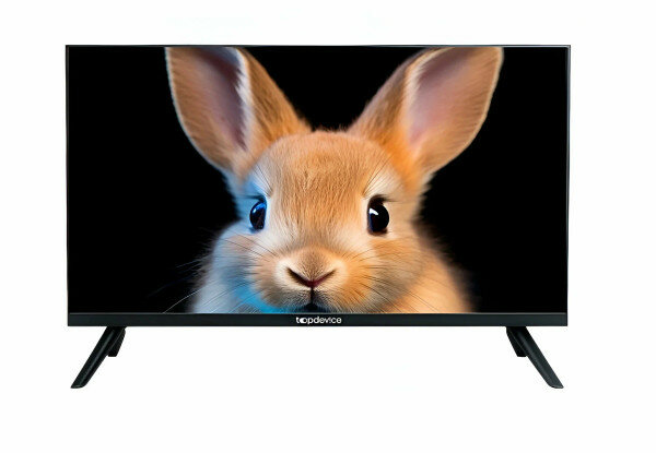 Телевизор Topdevice TDTV24ES13H, диагональ 24", LED, Smart, Bluetooth, Wi-Fi