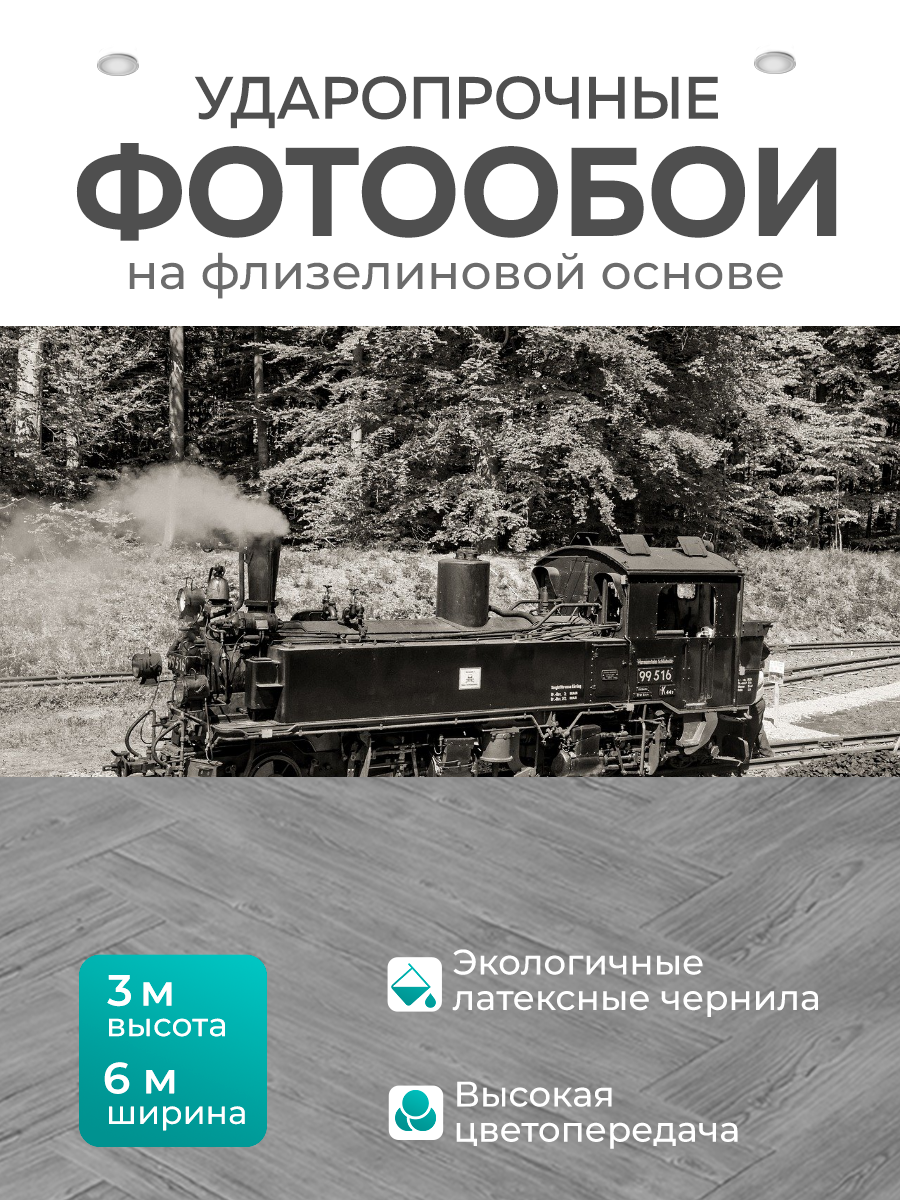 Фотообои моющиеся ударопрочные "Паровоз, исторический, железная дорога" 600x300 см. флизелиновые на стену
