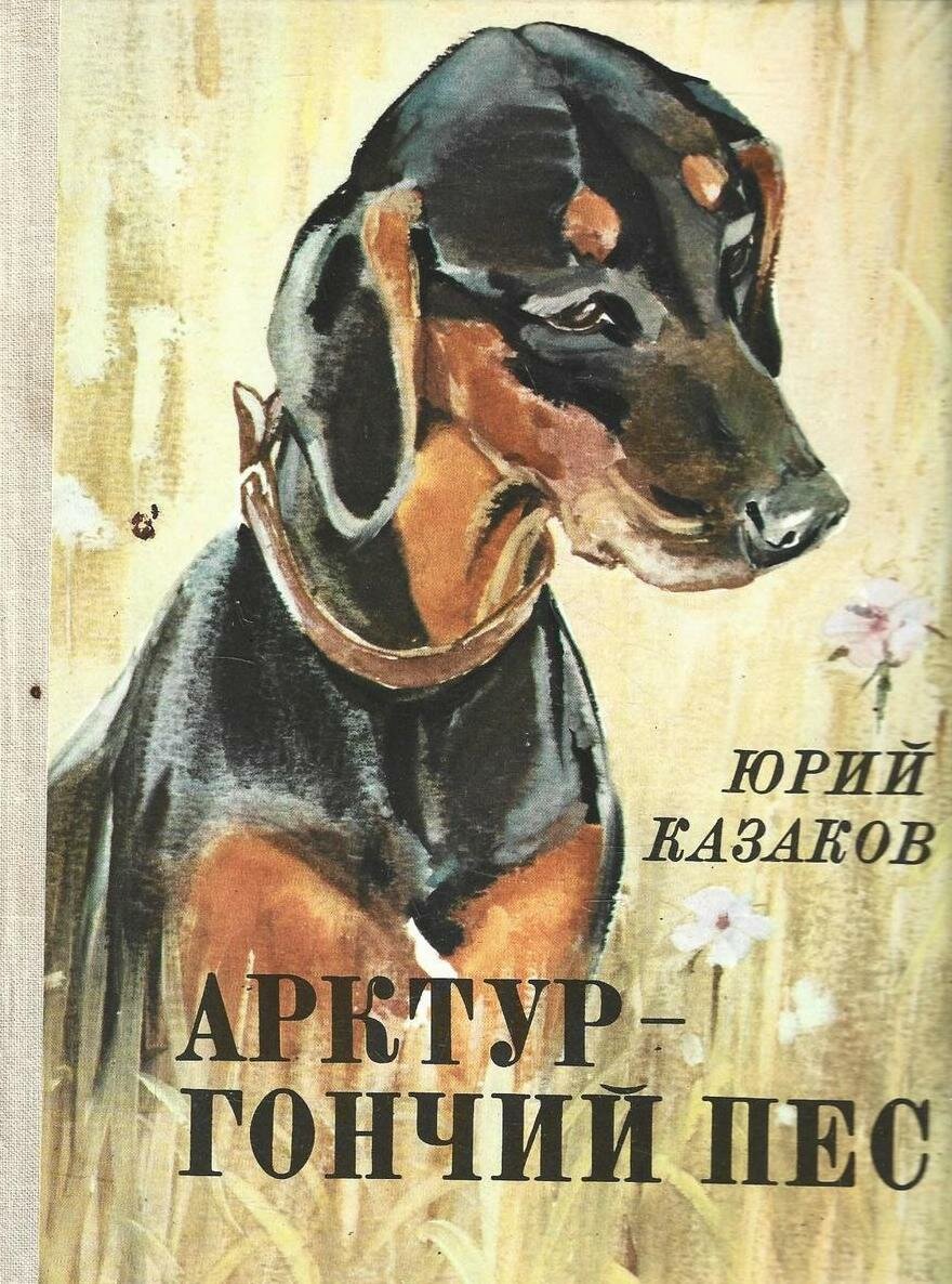 Арктур - гончий пес