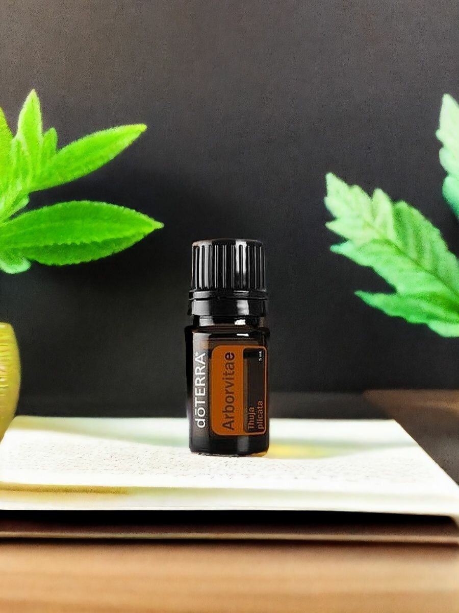 Эфирное масло doTERRA Arborvitae(Туя), 5 мл