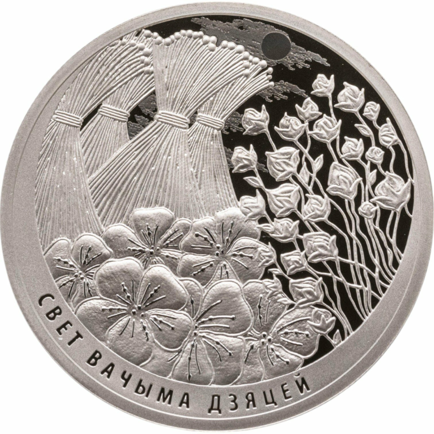 Беларусь 1 рубль 2019 "Мир глазами детей", Мельхиор медь-никель, в сохранности Proof