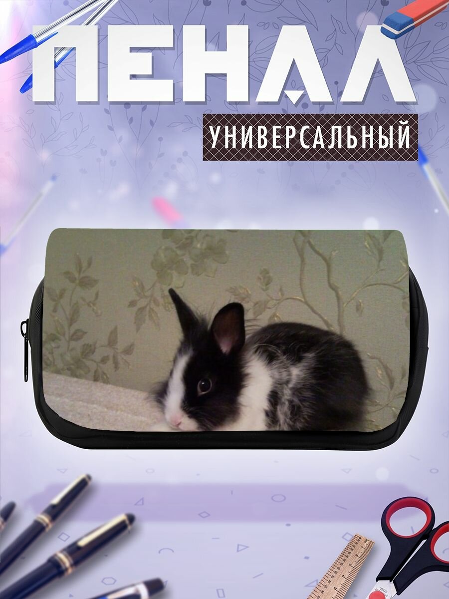 Школьный пенал кролик домашний кролик