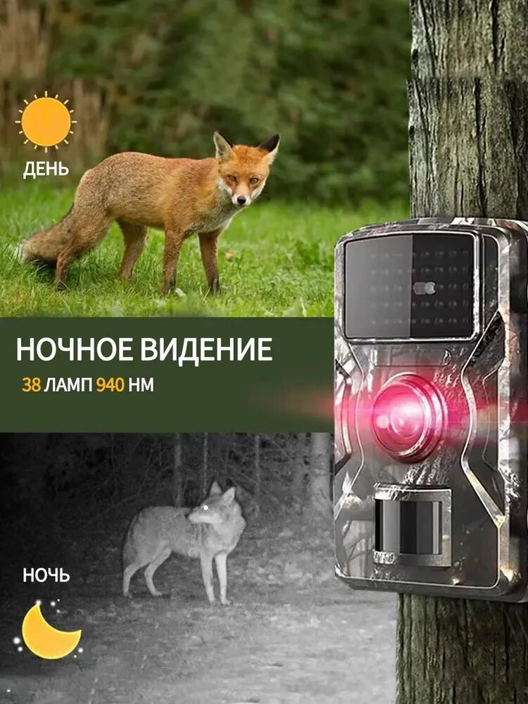 Фотоловушка — фото 1