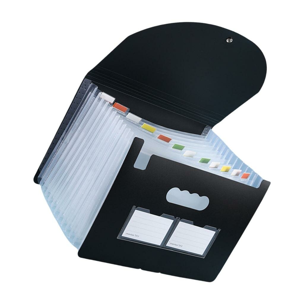 Папка-аккордеон с карманами А4, Черный прозрачный в - 13 сеток и 6 линий