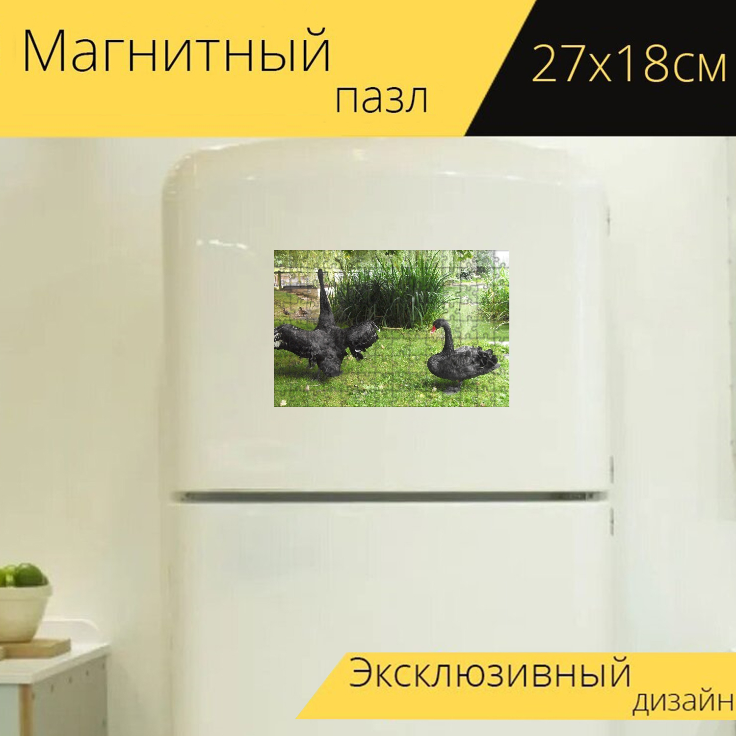Магнитный пазл "Черные лебеди 2 черных лебедей черные лебеди лебеди дикая природа животные" на холодильник 27 x 18 см.