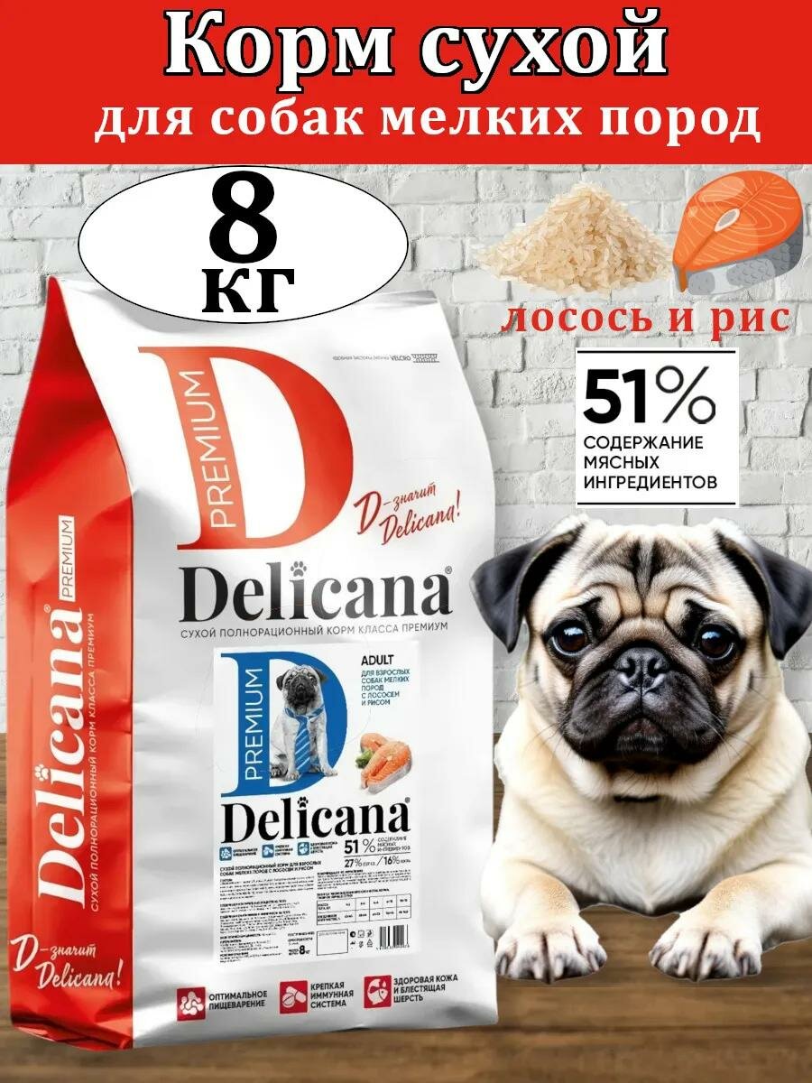 Cухой корм Delicana для взрослых собак мелких пород, с лососем и рисом, 8 кг