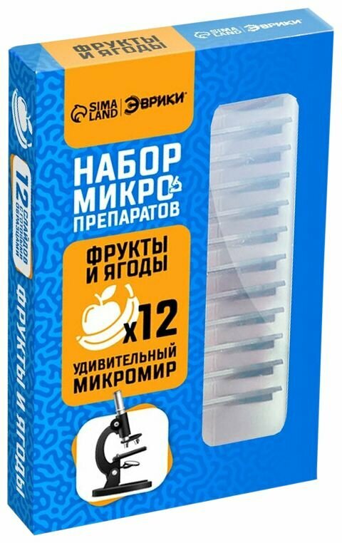 Комплект для опытов и исследований "Набор микропрепаратов. Фрукты и ягоды" для детей, простые детские эксперименты, 12 слайдов с образцами