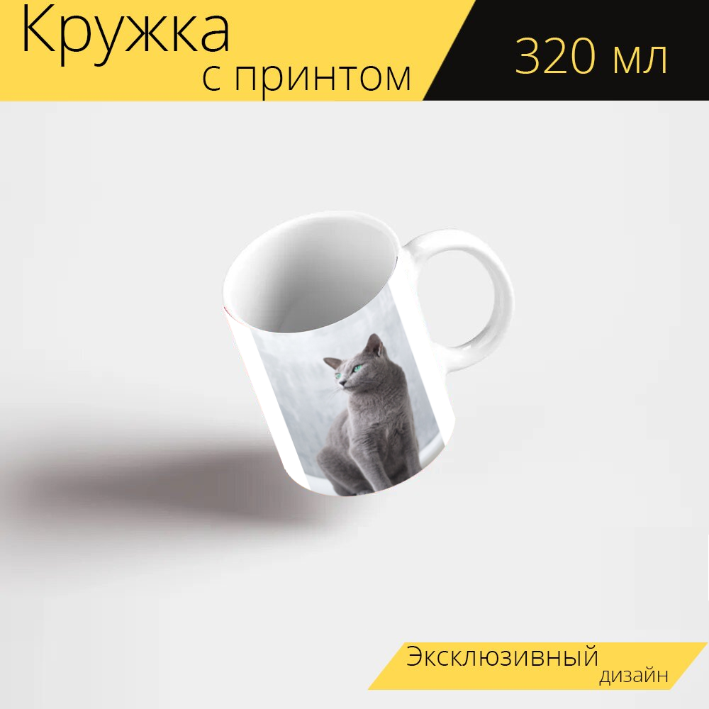 Кружка с рисунком, принтом "Русская голубая, кошка, котенок" 320 мл.