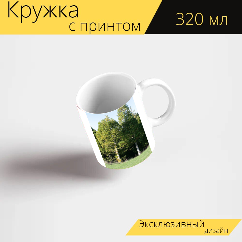 Кружка с рисунком, принтом "Большое дерево, агатис макрофилла, тихоокеанский каури" 320 мл.