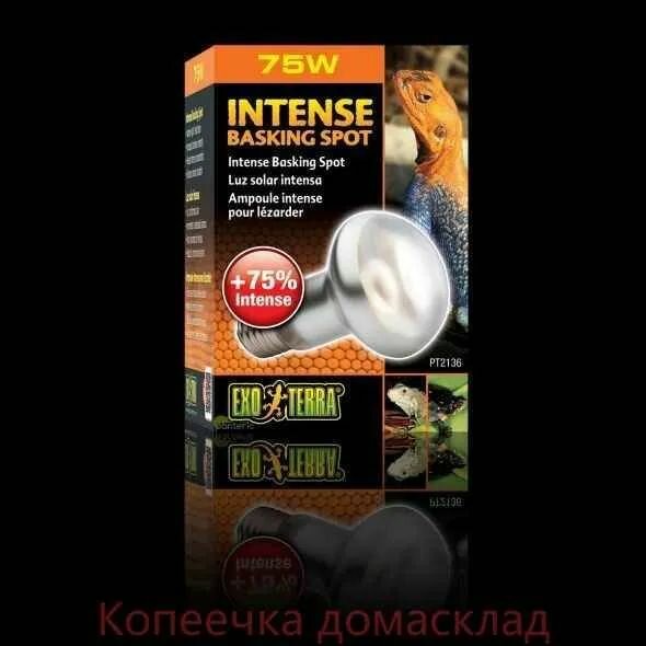 Лампа для террариума