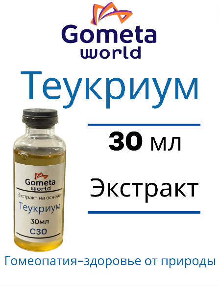Теукриум экстракт, сыворотка, чай, настойка, концентрат, С30, народная медицины