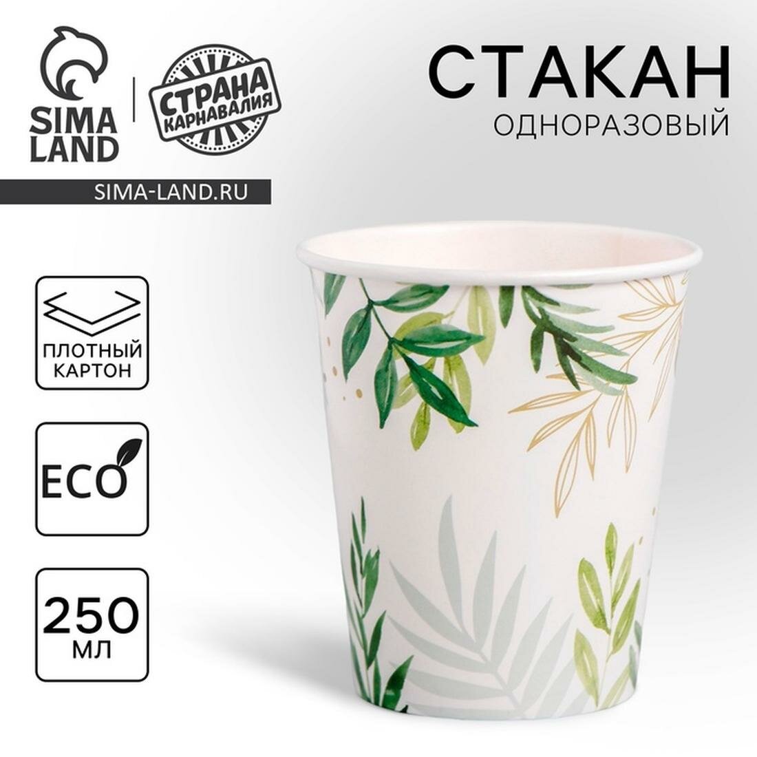 Стаканы Страна Карнавалия «Природа», бумажные, 250мл, в упаковке 10шт