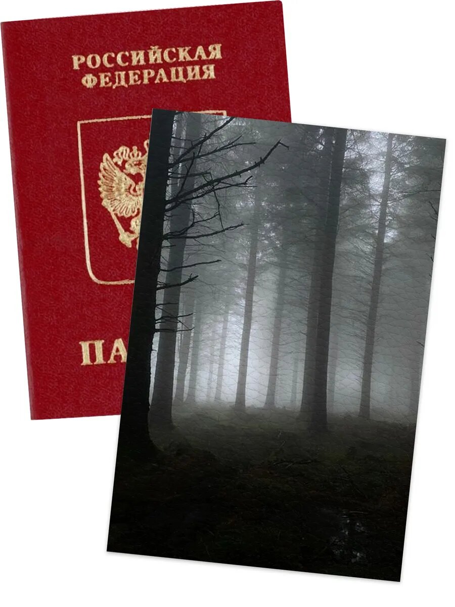 Обложка для паспорта