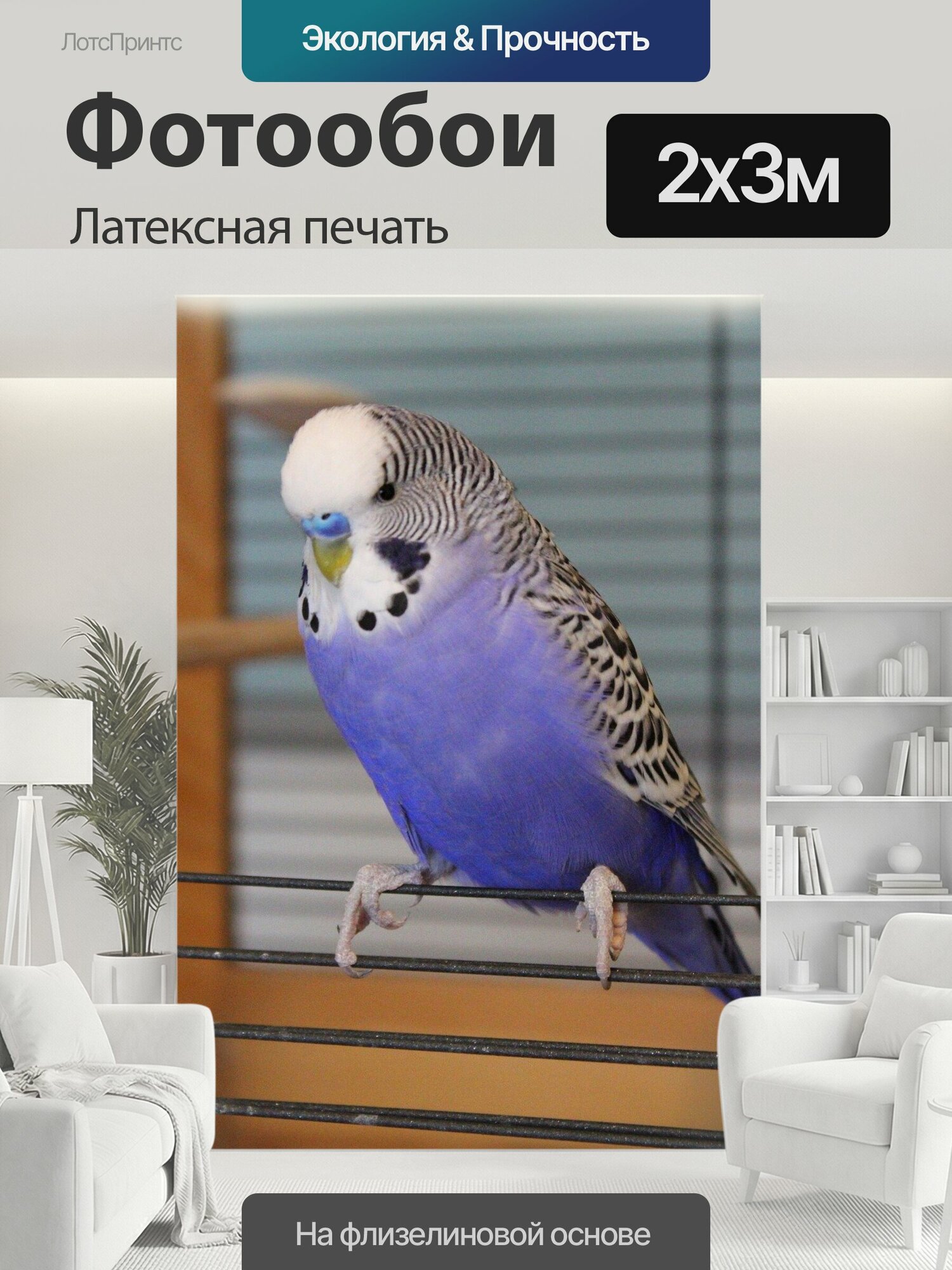 Фотообои моющиеся ударопрочные "Волнистый попугайчик, синий, попугай" 200x300 см. латексная печать