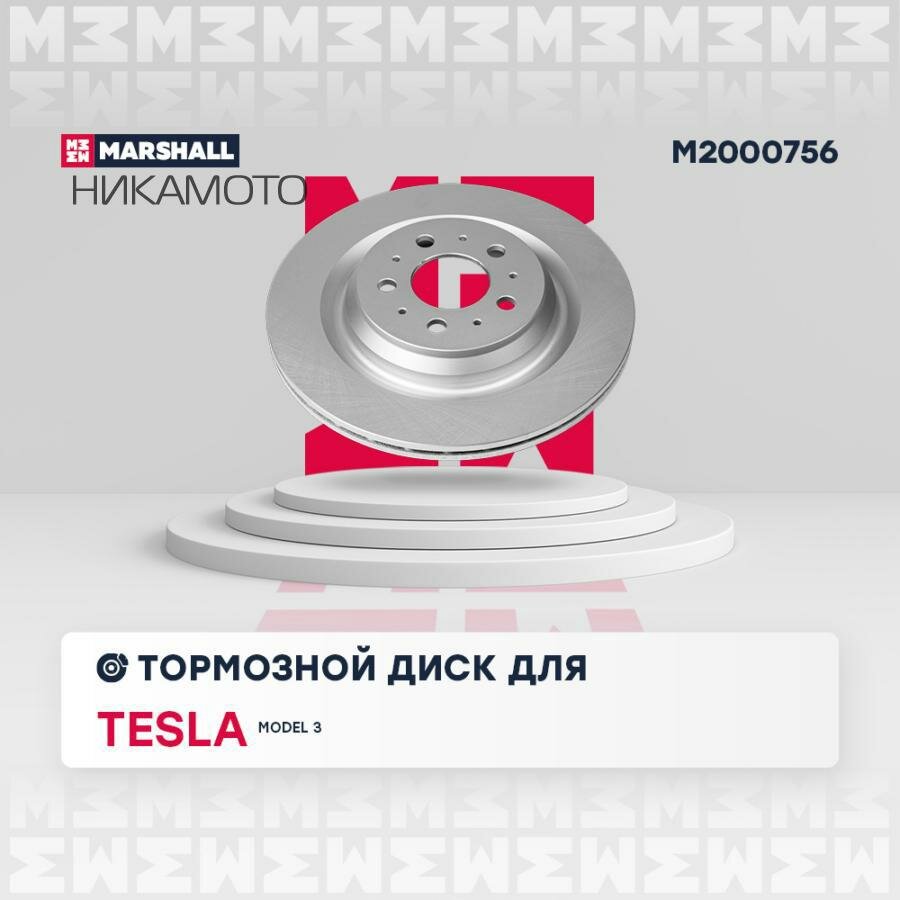 MARSHALL M2000756 Диск тормозной TESLA MODEL 3 17- задний (с покрытием)