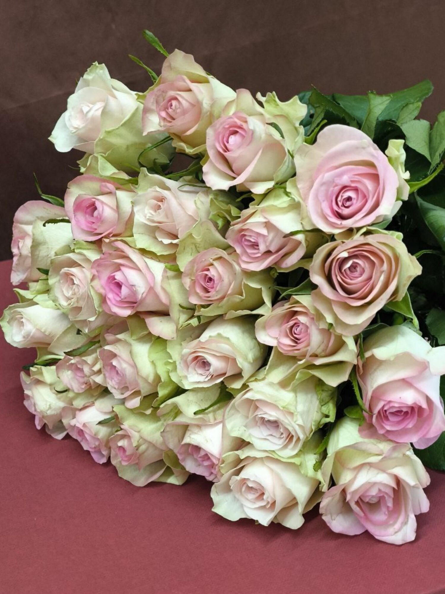 Букет живых цветов из Бело-Розовых Роз 25 шт. высота 42 см. SIMFONI FLOWERS