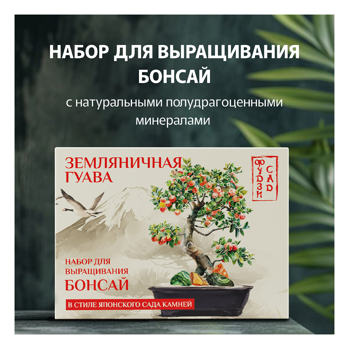 Фудзи сад Подарочный набор для выращивания Вырасти Бонсай дома Земляничная гуава fg-001-NM32