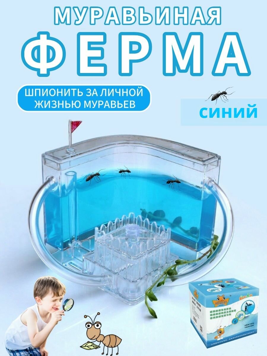 Муравьиная ферма(Муравьи в комплект не входят), Муравьиная усадьба