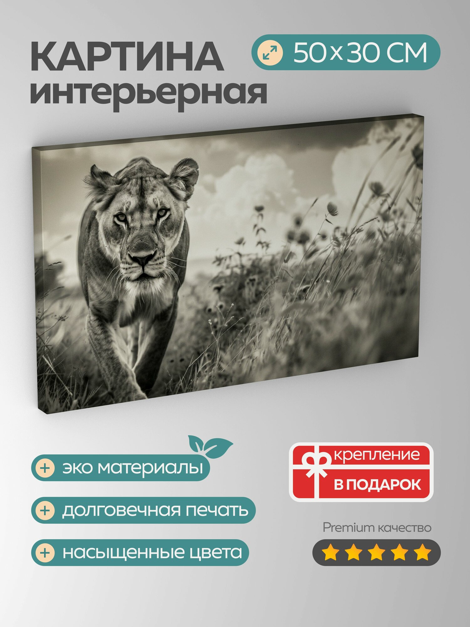 Картина на холсте интерьерная 50х30 см, черно-белая фотография, львица, африканская саванна, мощь, напористость, мышцы