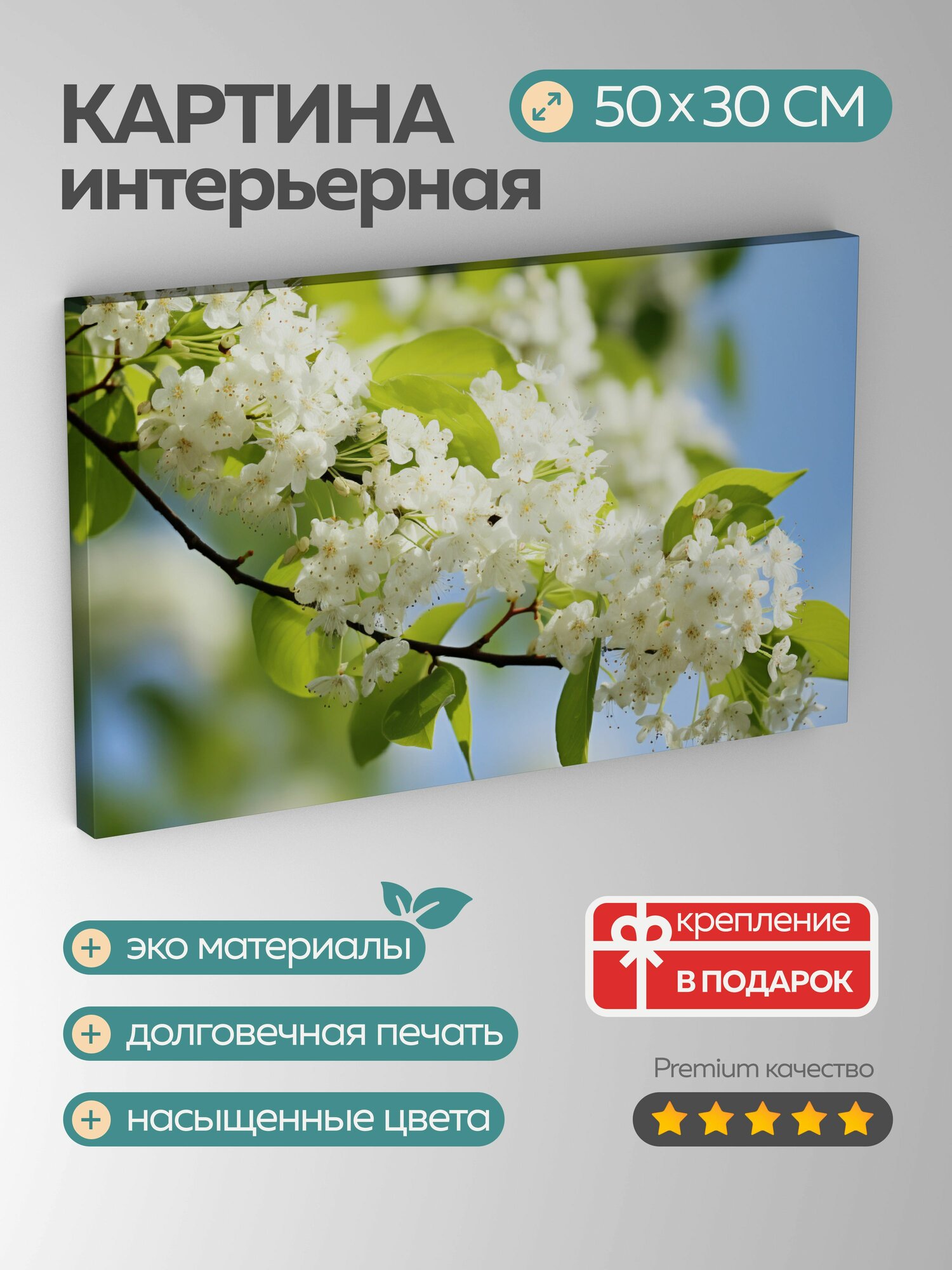 Картина на холсте интерьерная 50х30 см, черемуха, цветущая, макрообъектив, детали, белые цветы, глубина резкости