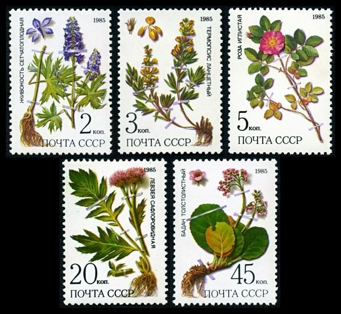 Почтовые марки СССР 1985 г. Флора. Лекарственные растения. Серия из 5 марок. MNH(**)