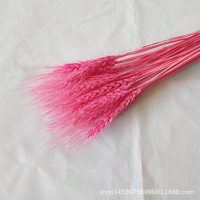 Пучок пшеничных колосьев, 50 палочек, красный цвет