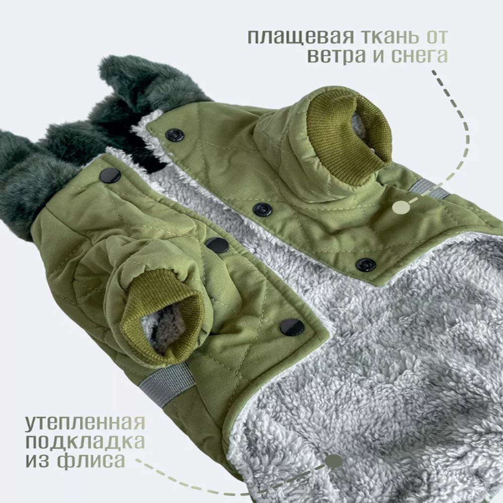 Одежда для животных — фото 1