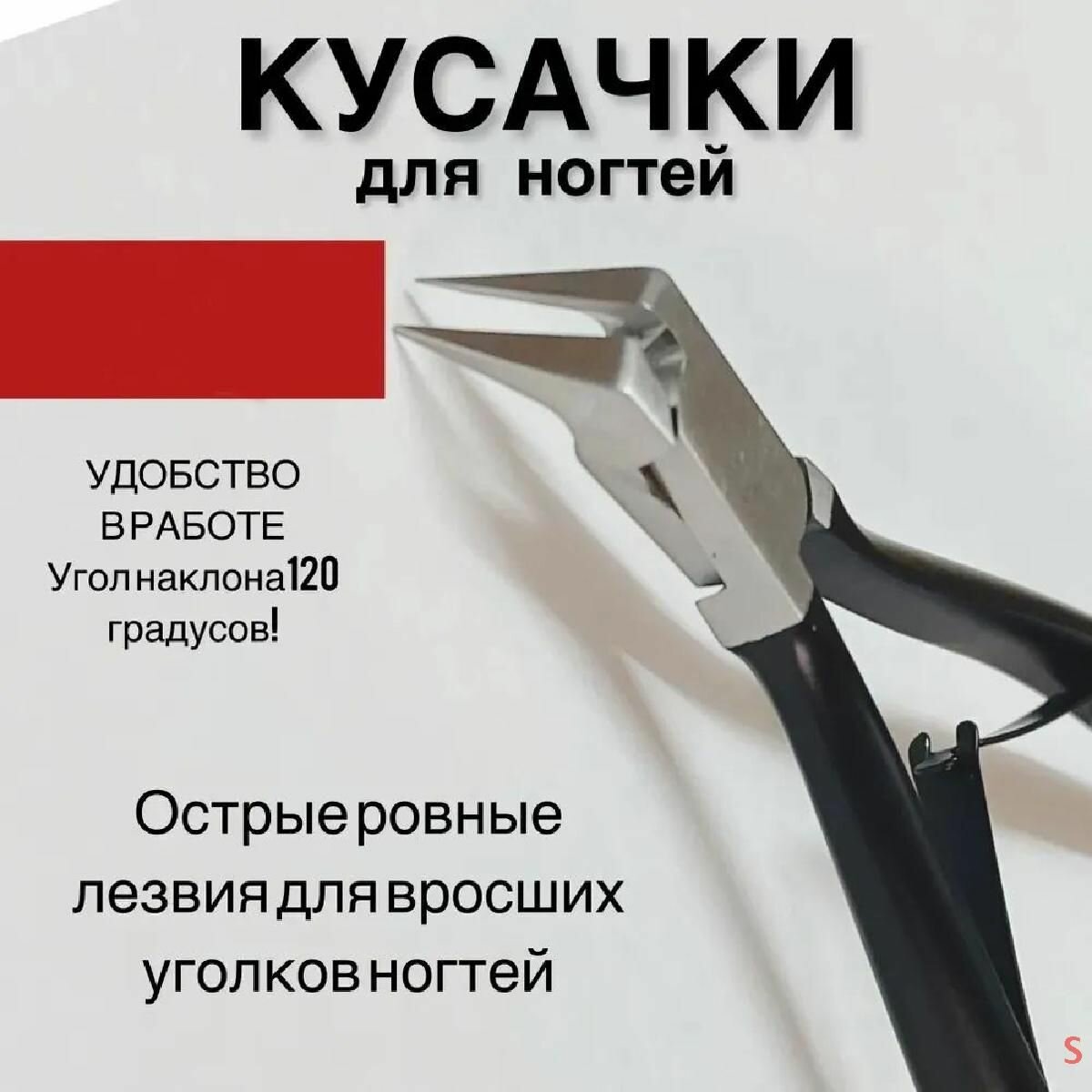 Книпсер