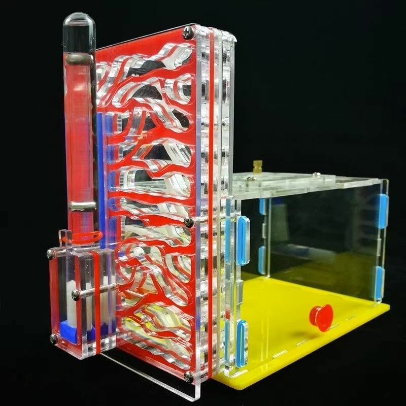 Муравьиная ферма + Декор и Корм в подарок! Формикарий для муравьев