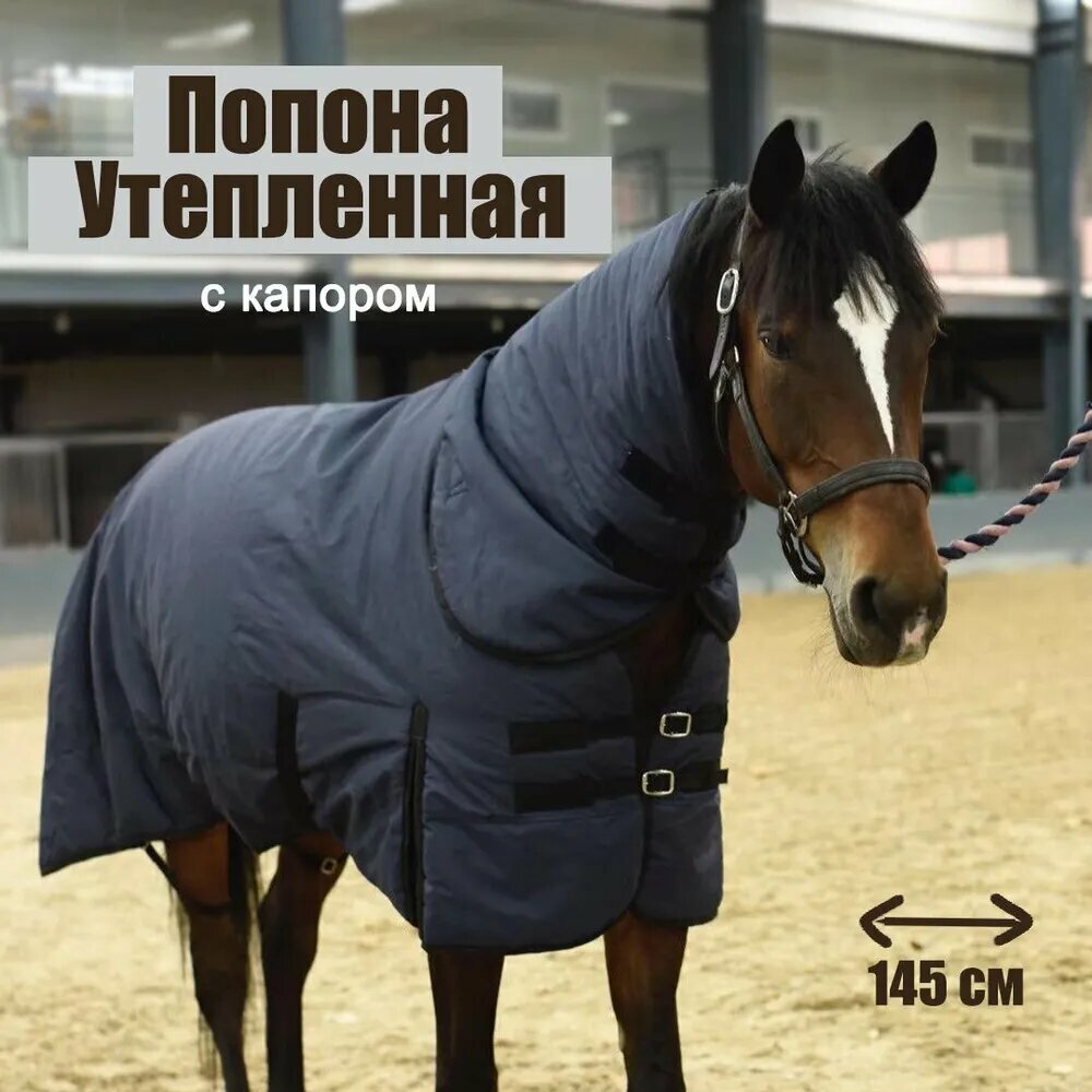 Попона для лошадей U980, зимняя, водоотталкивающая, утепленная, с воротником-капюшоном, темно-синяя
