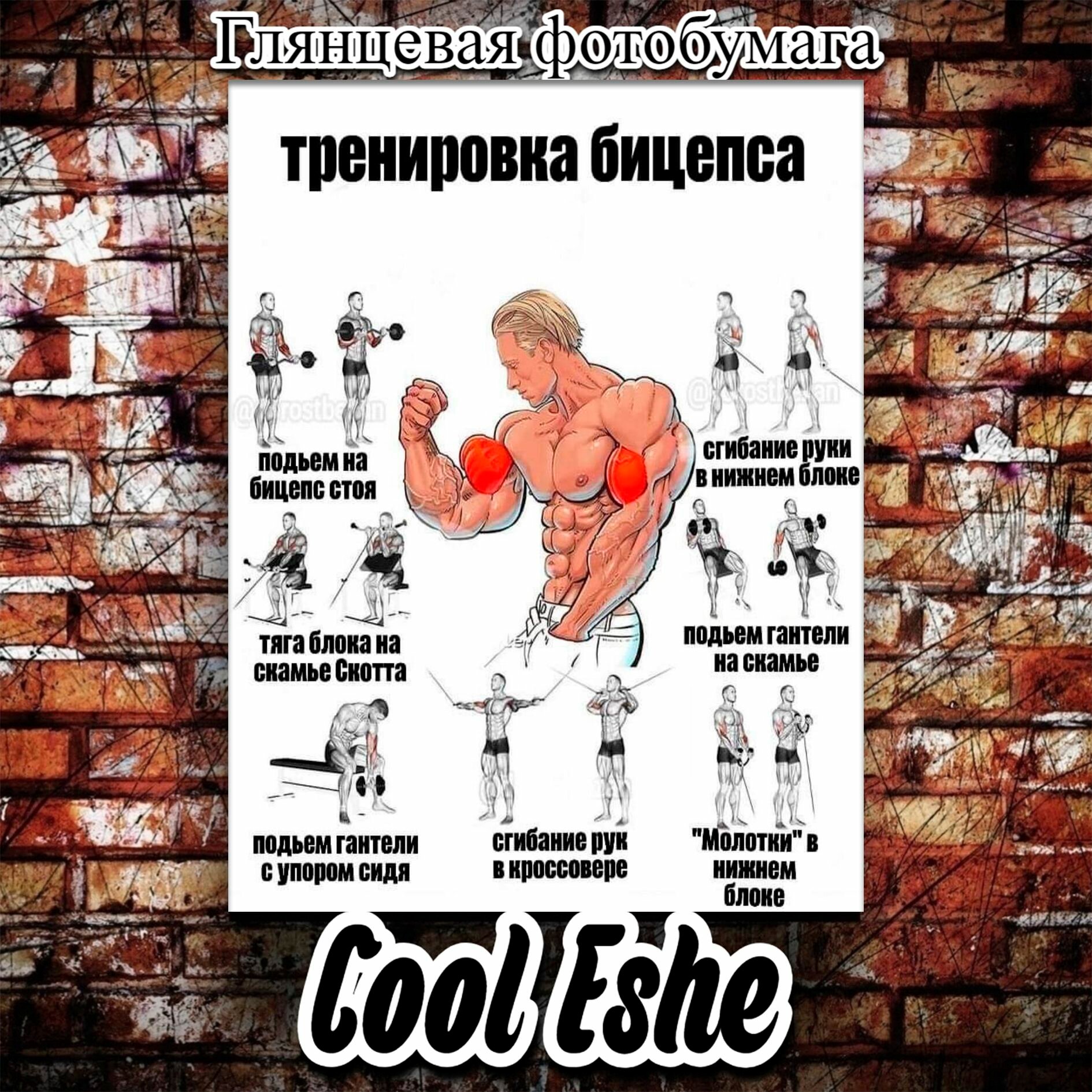 Постер "Тренировка бицепса для мужиков" из коллекции "Полезное" А4