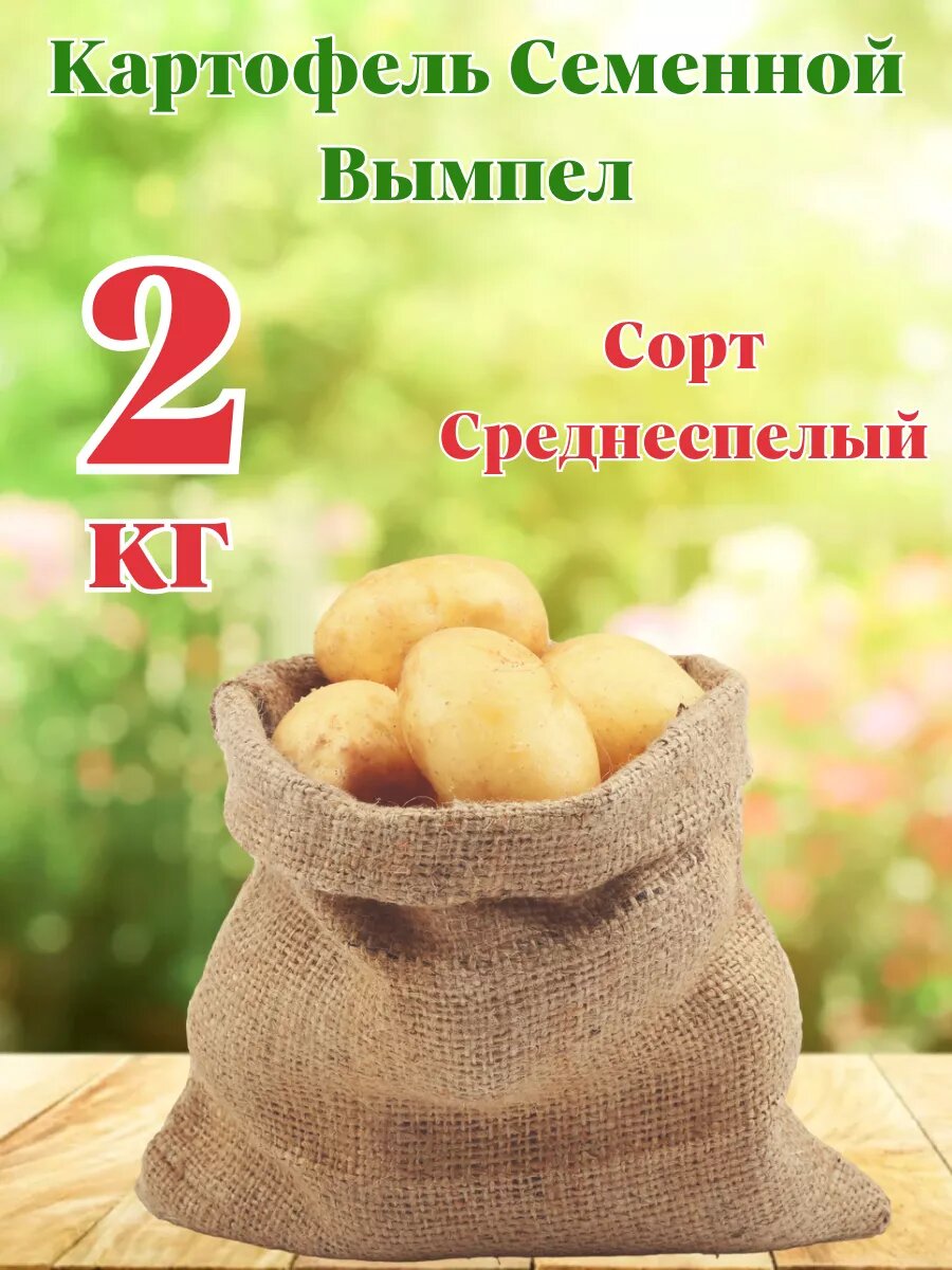 Картофель Семенной Вымпел 2 кг