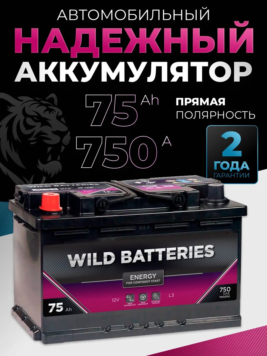 Аккумулятор автомобильный 75 Ач 750 А прямая полярность