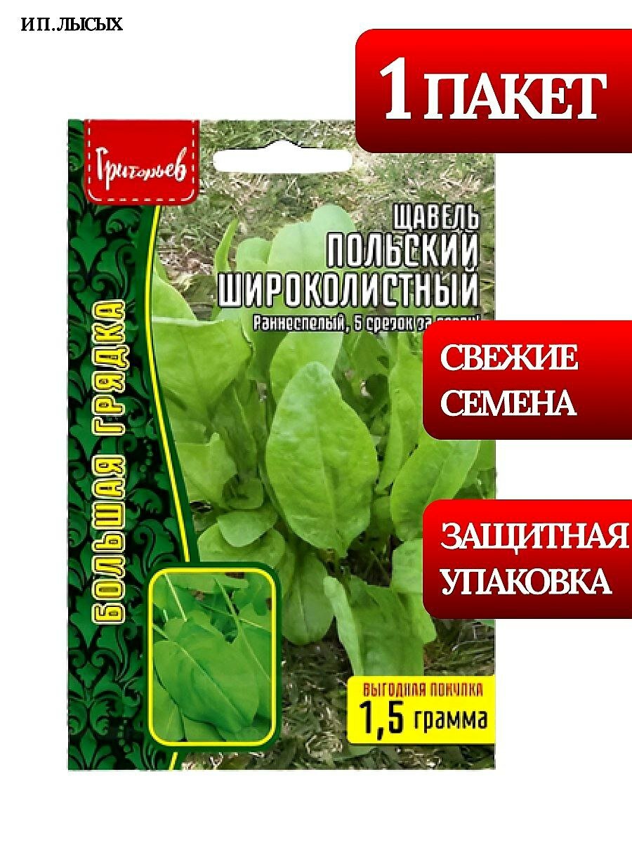 Семена Щавель "Польский Широколистный"