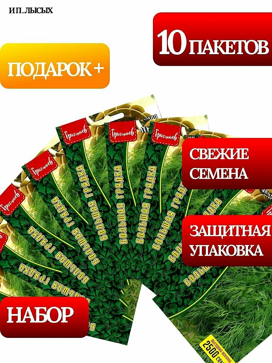 Семена Укроп "Пан Матеуш"