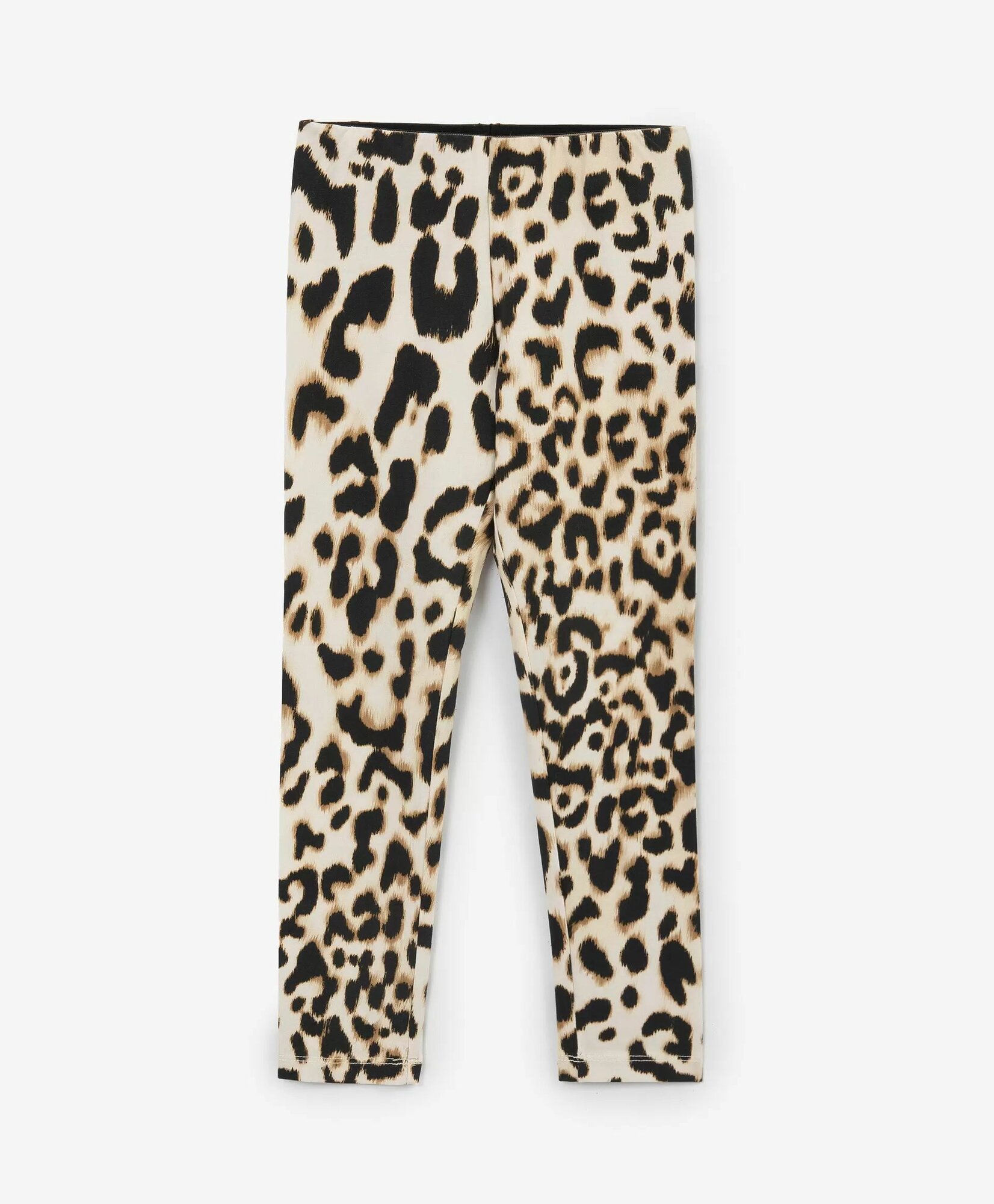 Трегинсы Ирбис