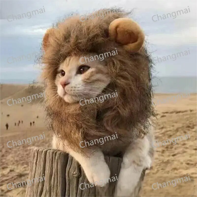 Шапка для питомца с ушками, парик льва, зимняя одежда щенка