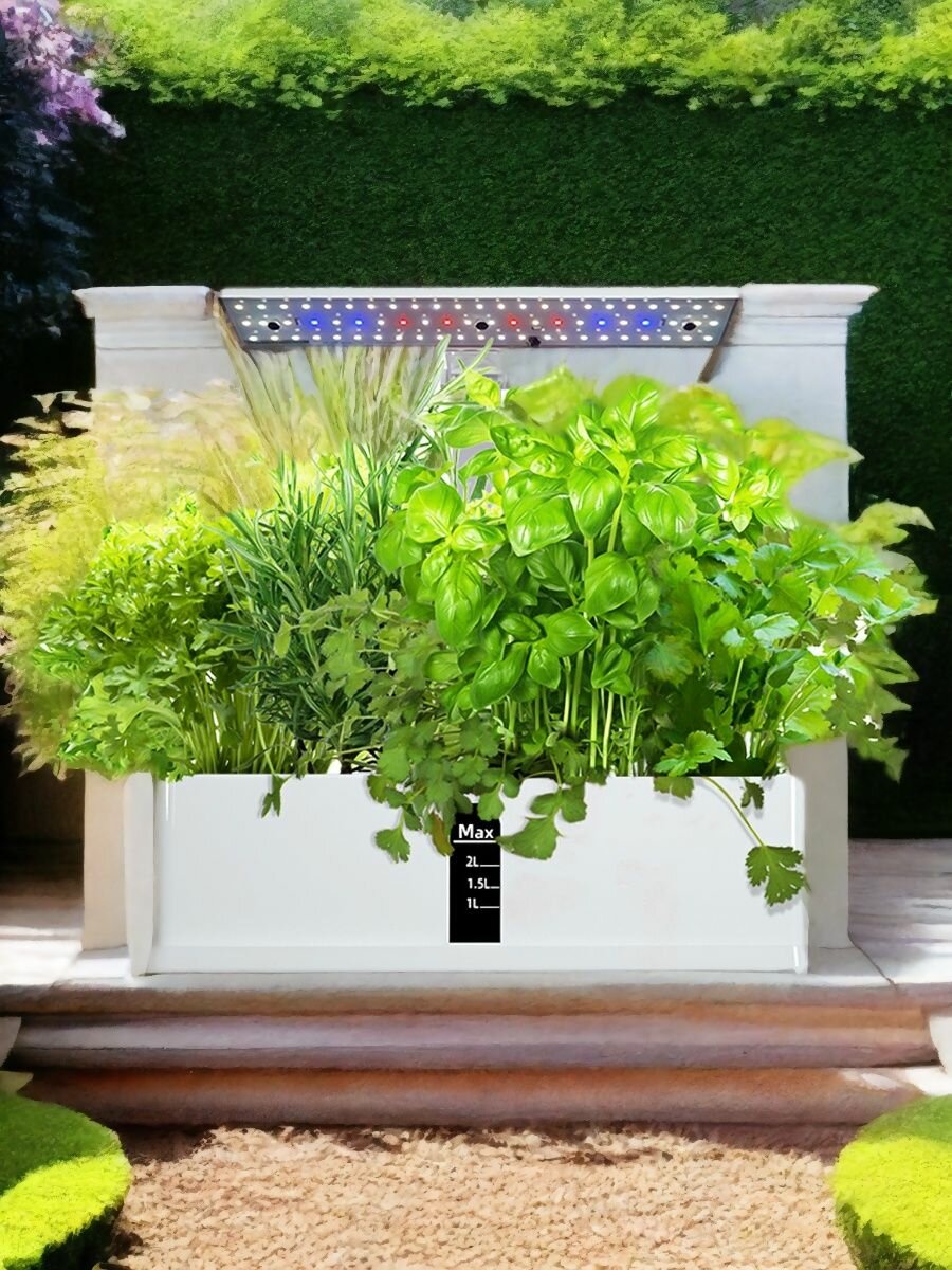 Гидропонная установка