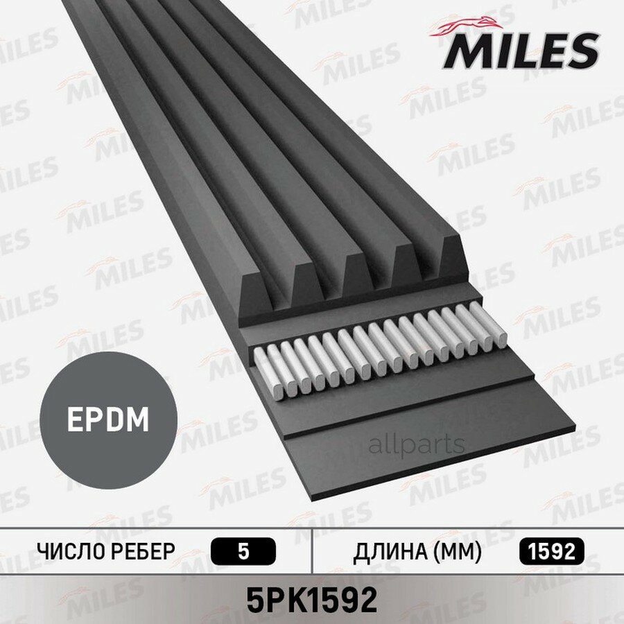 MILES 5PK1592 Ремень поликлиновой