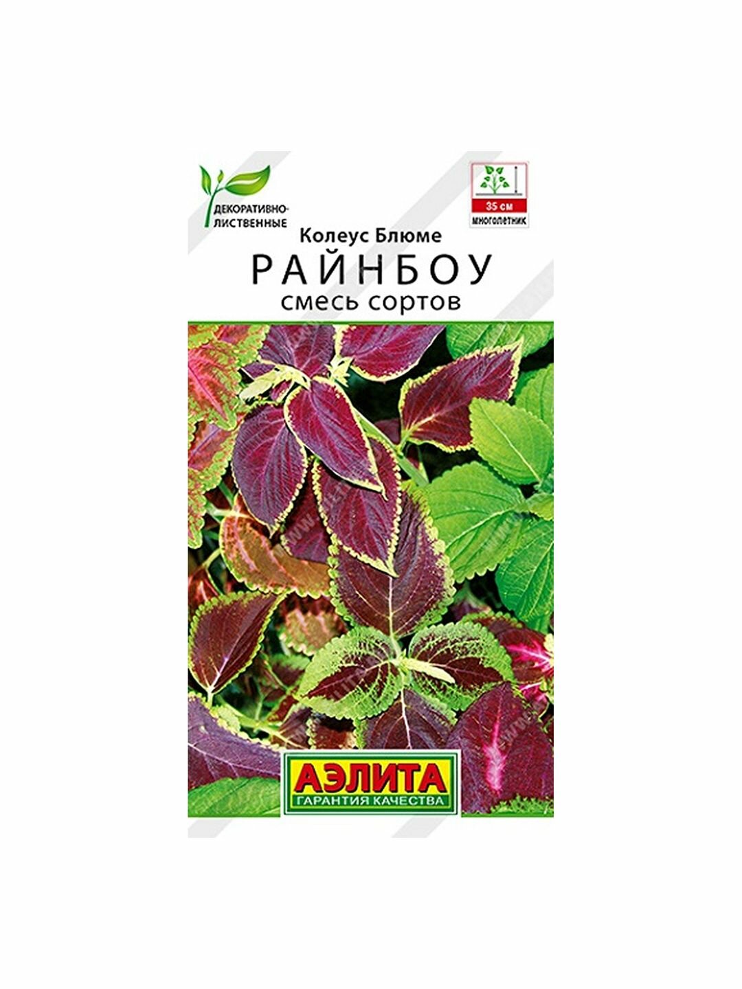 Семена Колеус блюме Райнбоу, смесь сортов, многолетние, Аэлита - Декоративно-лиственные, 1 пачка - 0.05г семян