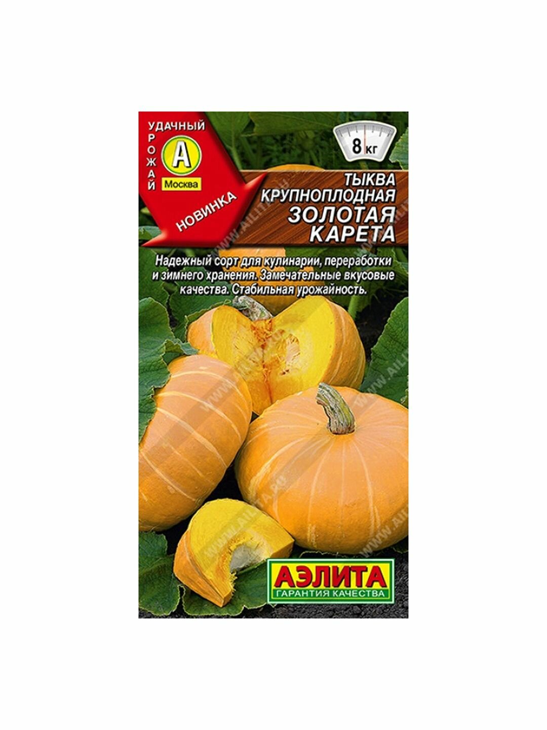 Семена Тыква Золотая карета, Аэлита, 1 пачка - 1г семян