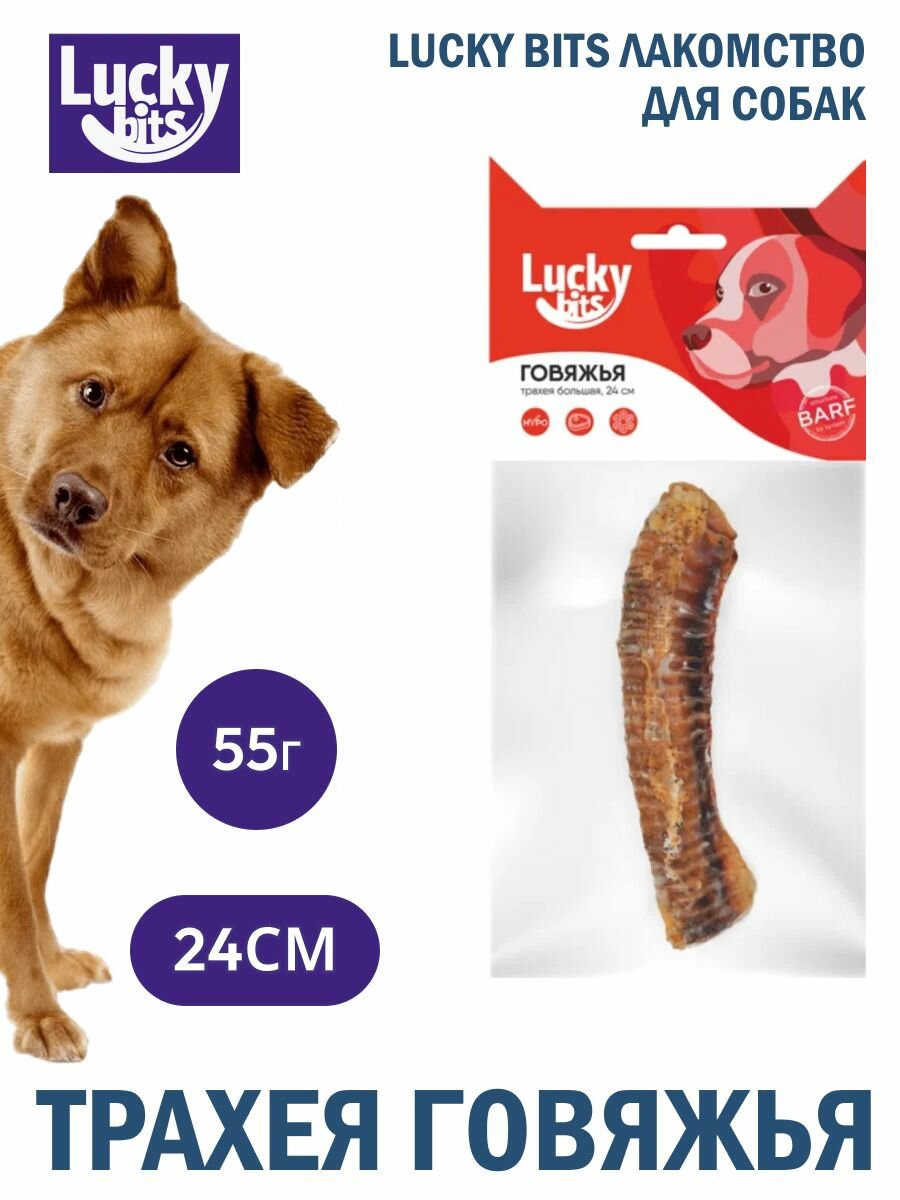 Lucky bits Лакомство для собак Трахея Говяжья 24см большая 55г