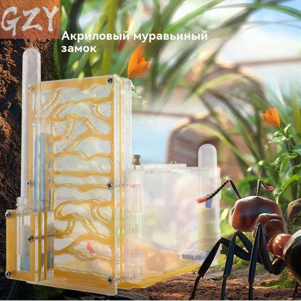 Муравьиная ферма, Формикарий для муравьев