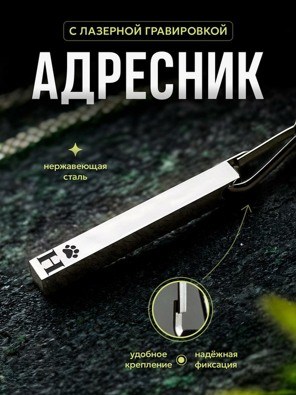 Адресник для собаки с гравировкой, серебристый, английская буква H