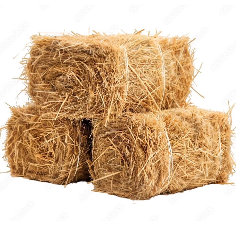 Солома 3кг 50л. Для утепления. Для подстилки домашних животных. Курей, кроликов, перепелок.