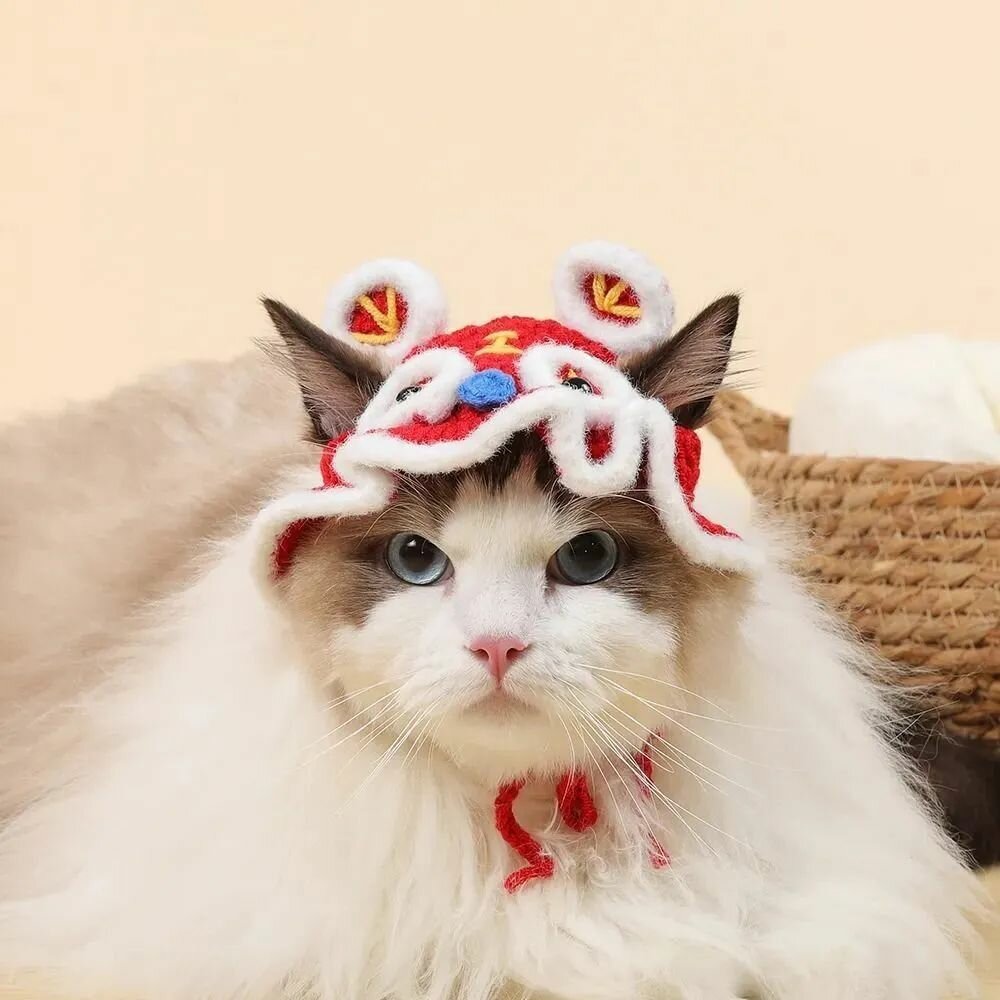 Кошка шляпа — фото 1