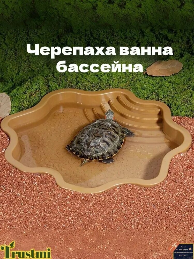 Универсальная купальня для черепах, ящериц и полуводных рептилий миска для кормления