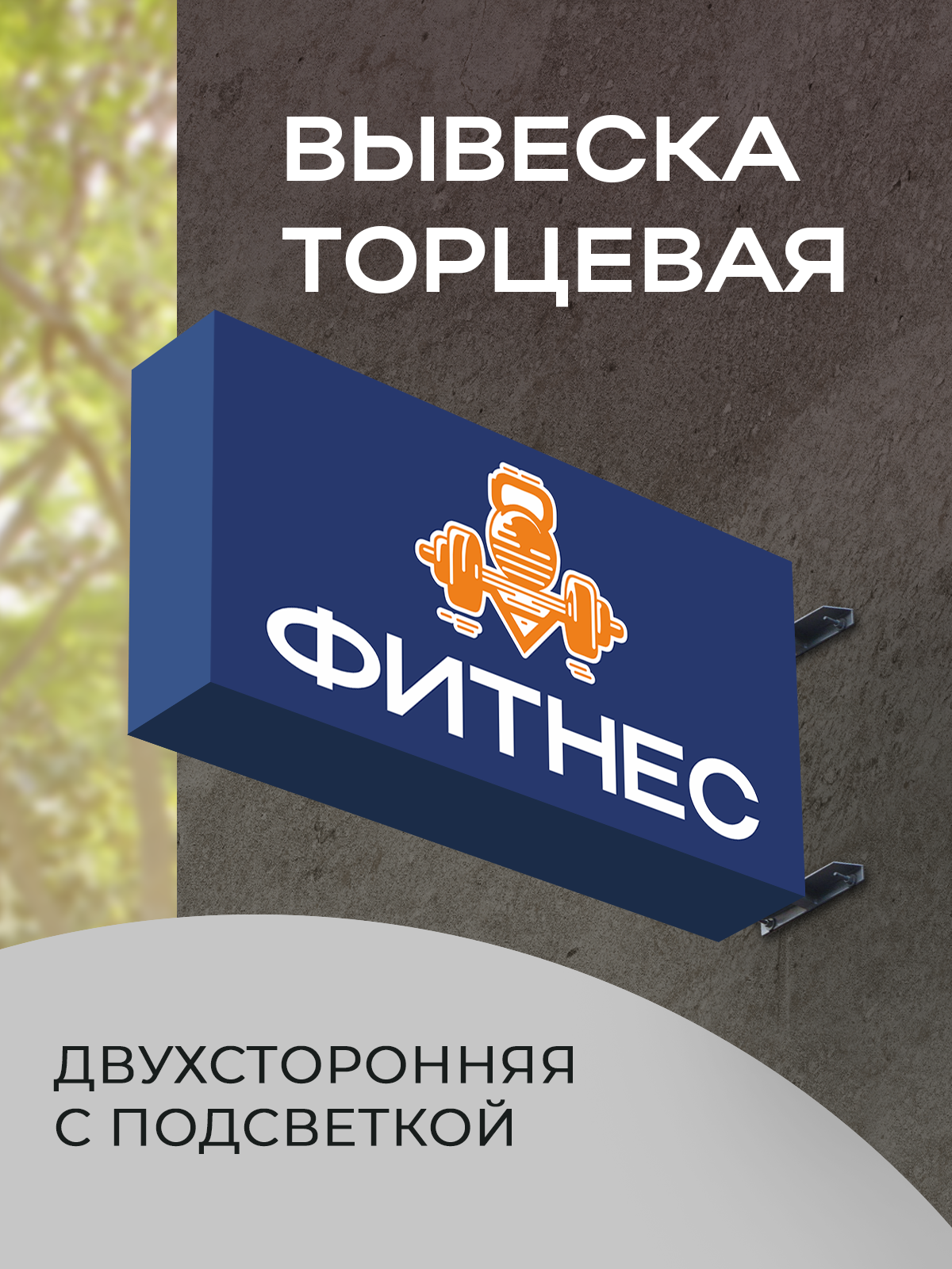 Вывеска торцевая двухсторонняя с подсветкой 30х60 "фитнес" 4